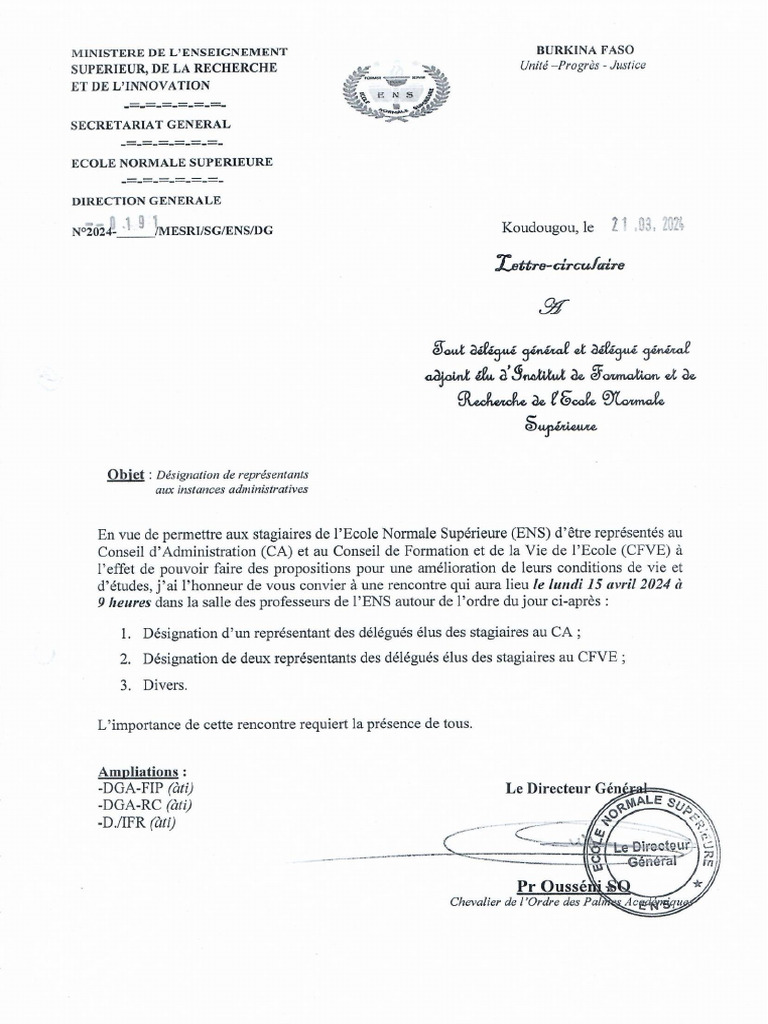 Désignation D'un Représentant | PDF