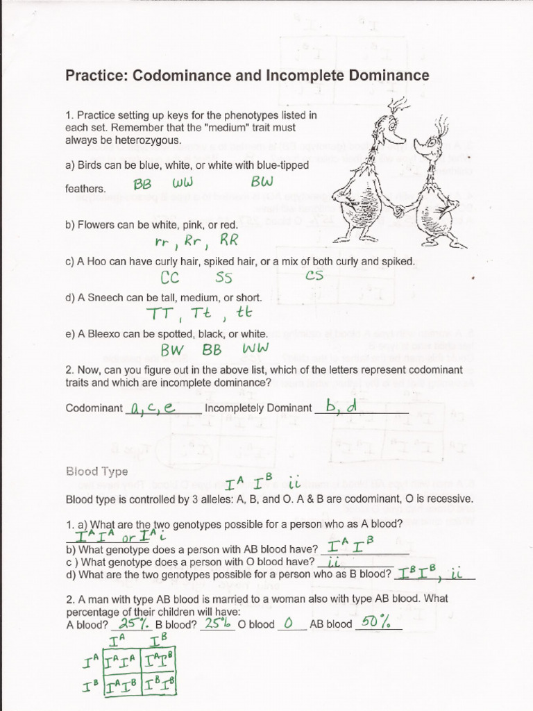 Genetics - Codominance and Incomplete Dominance | PDF