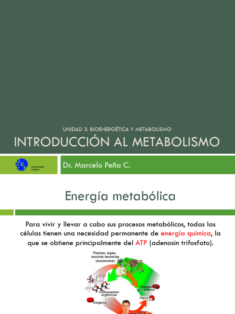 BQ 2021 Clase 12 - Introducción al metabolismo II | PDF | Trifosfato de adenosina | Redox