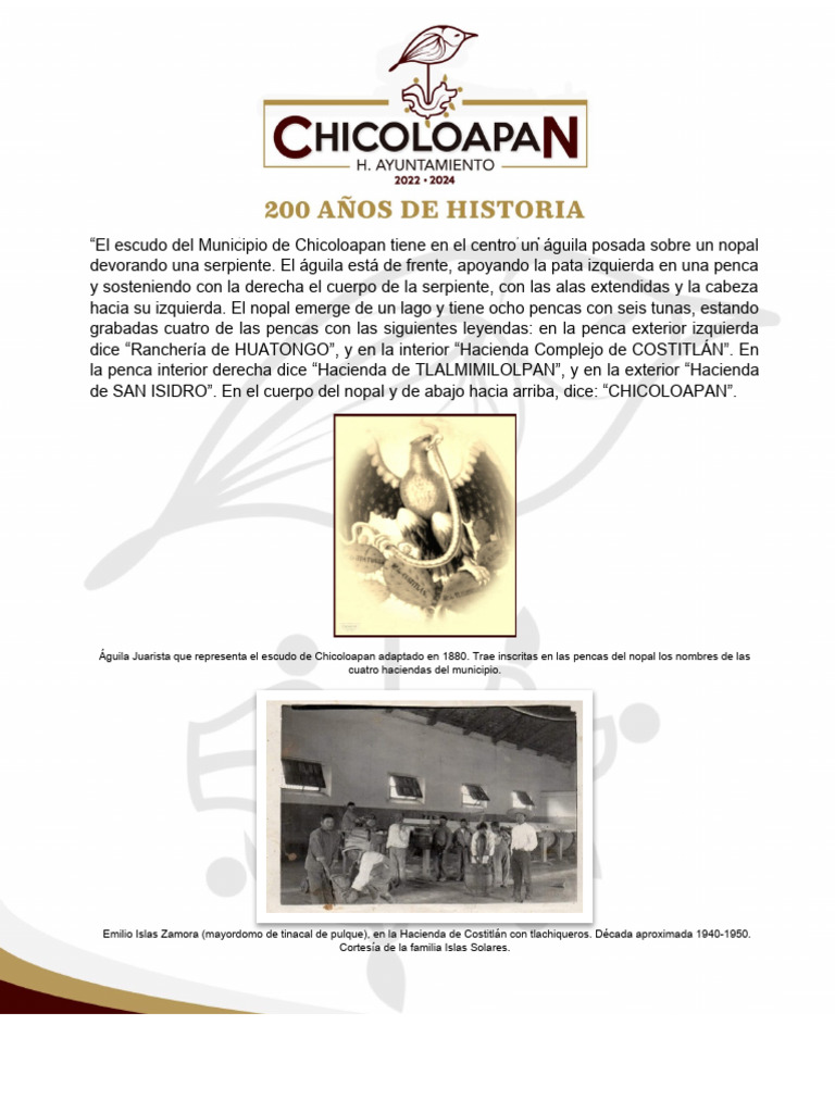 Escudo de Chicoloapan: Símbolos y Significado | PDF