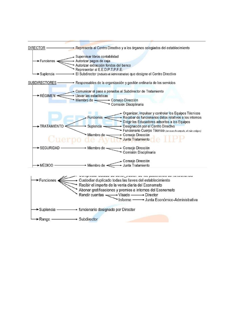 Tema 17 El Modelo Organizativo | PDF