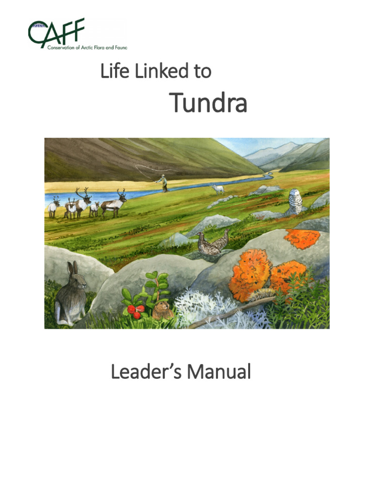 Education LeadersGuide-Tundra Letter | PDF | Ecosystem | Earth Sciences