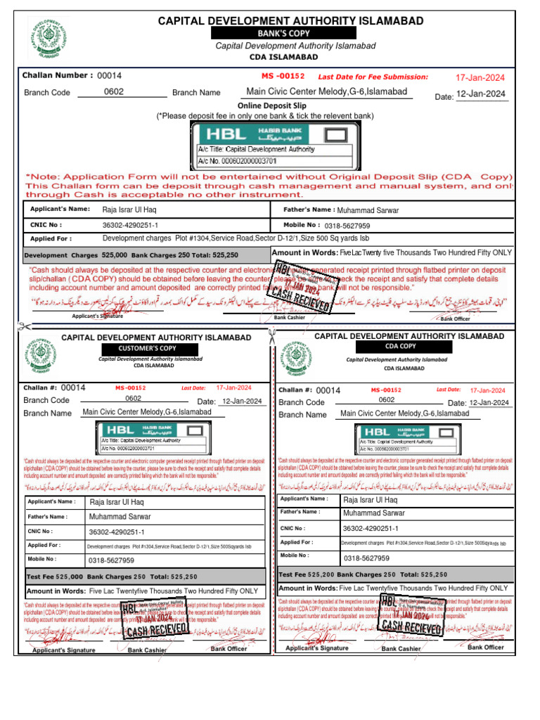 CDA Form For The Posts of S.No 55 To 61 2 | PDF | Business | Financial ...