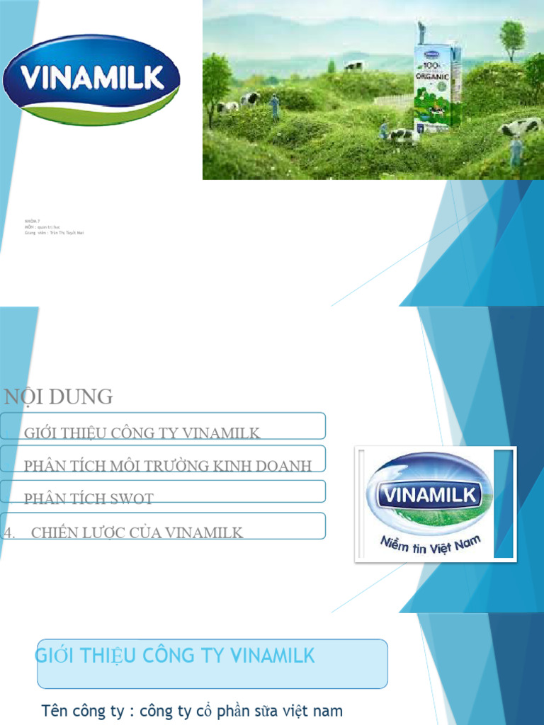 Vina Milk | PDF