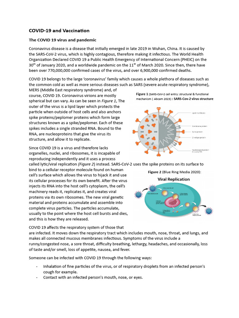 COVID 19 Paper | PDF | Virus | Adaptive Immune System