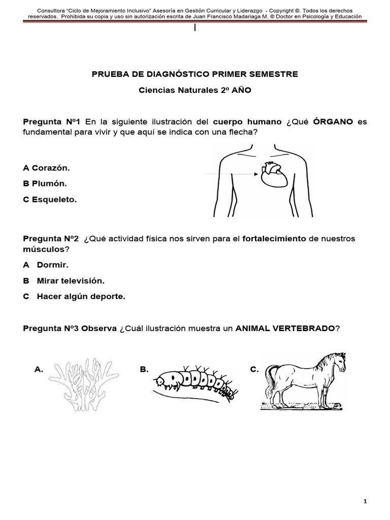 2º Año PRUEBA DIAGNOSTICO | PDF | Crecimiento personal y profesional ...