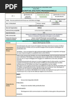 BTS NDRC E4 Fiche Et Grille E4 Document de Travail | PDF