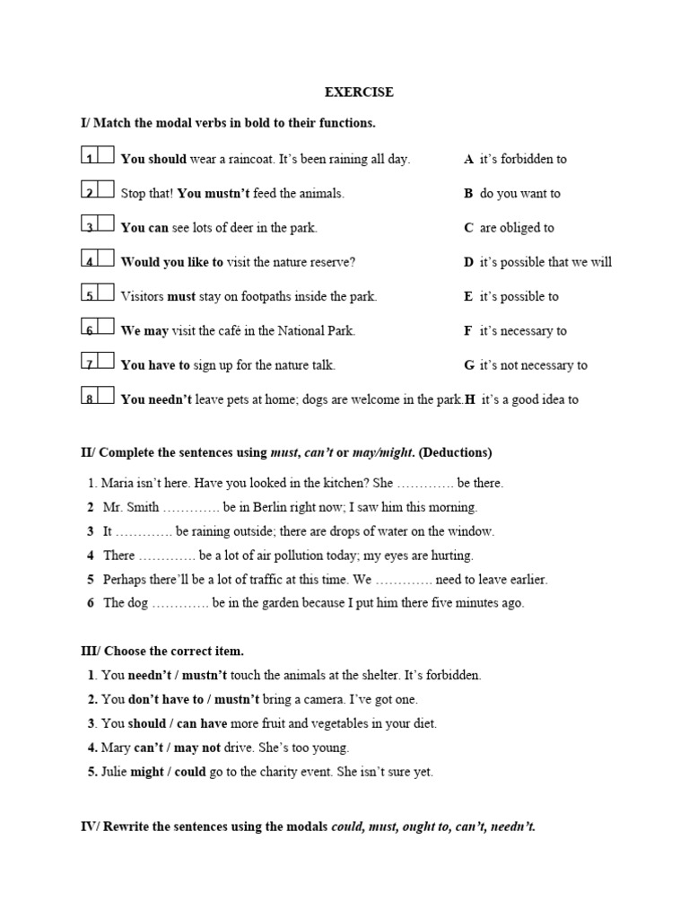 Exercise. Modal Verbs. Docx | PDF