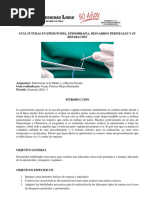 Episiotomía y Episiorrafia | PDF | Parto | Especialidades Medicas