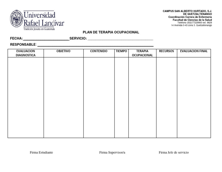 Formato Terapia Ocupacional-1 | PDF