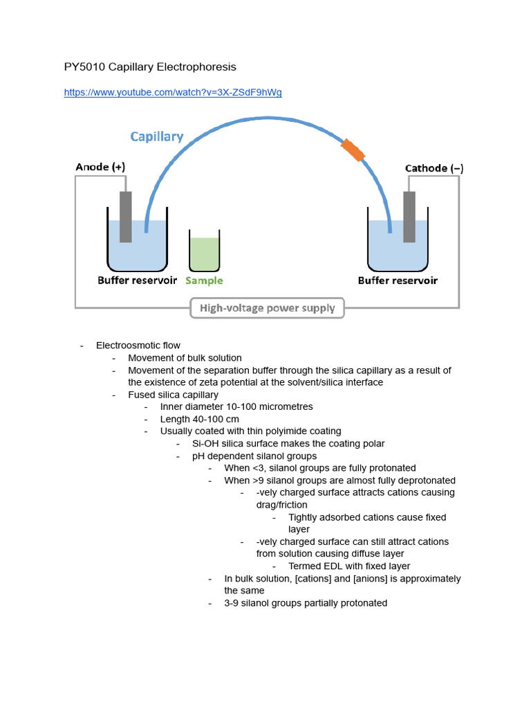 PY5010 Capillary Electrophoresis | PDF | Capillary Electrophoresis | Ion