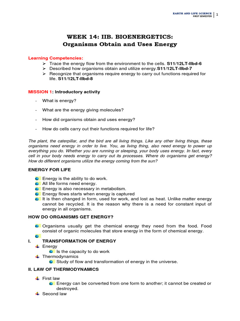 Energy Acquisition in Organisms | PDF | Cellular Respiration ...