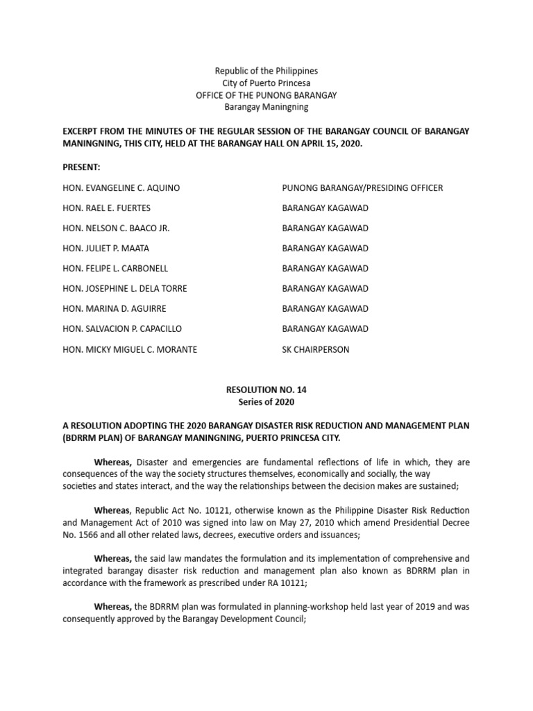 Resolution Approving BDDRM Plan | PDF | Government