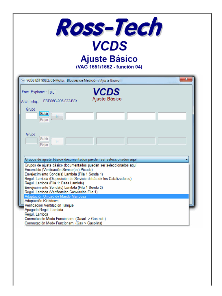 VCDS - Ajuste Básico | PDF | Finanzas y dinero | Informática