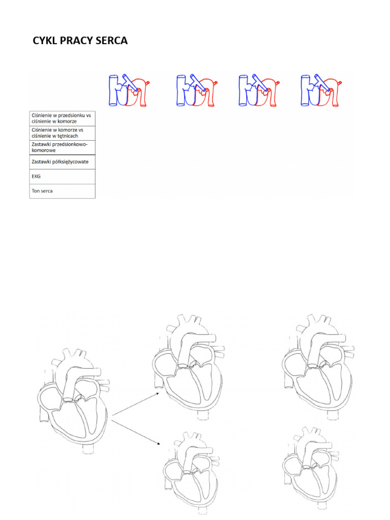 Cykl Pracy Serca | PDF