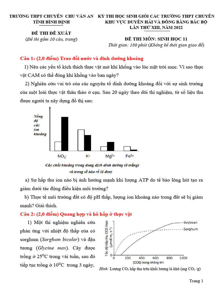 De Sinh 11 - DHBB - Chuyen Chu Van An - Binh Dinh | PDF