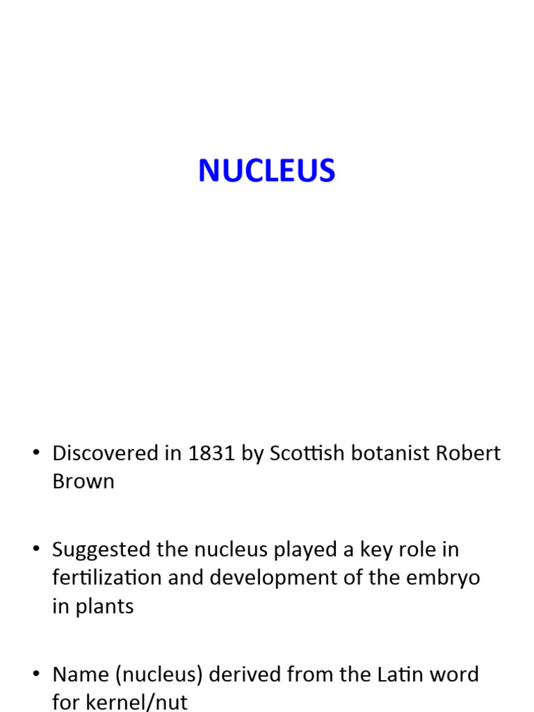 Nucleus | PDF | Cell Nucleus | Cell (Biology)