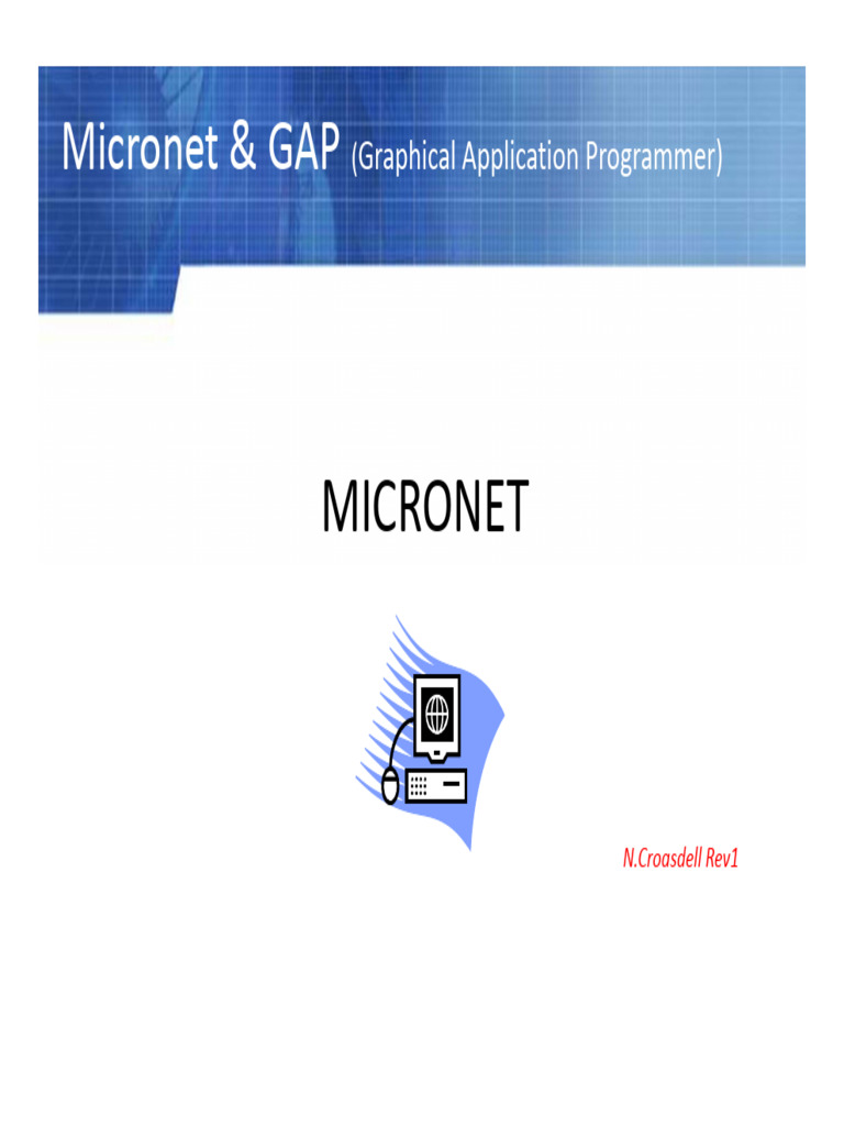 023 - Micronet & GAP | PDF | Computer Programming | Computer Program