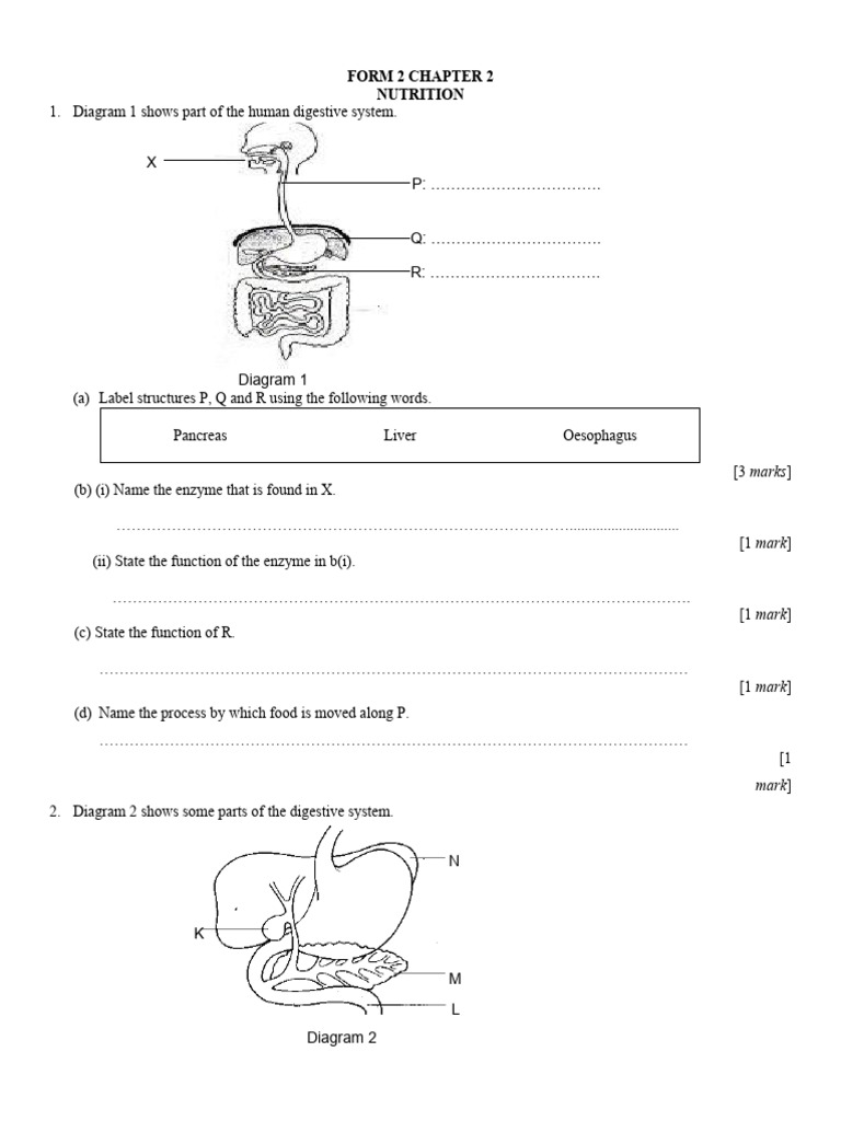 Form 2 Science Exercise by Kelvin Chapter 2 | PDF | Foods | Nutrition