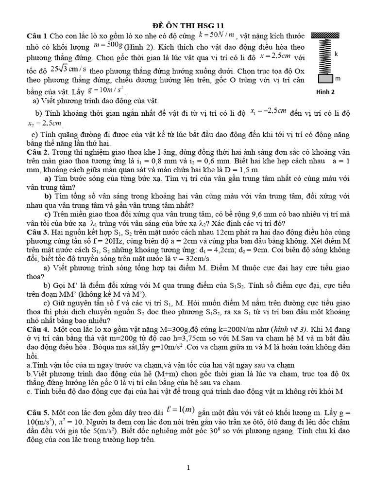 Đề ôn thi HSG 11 2024 | PDF