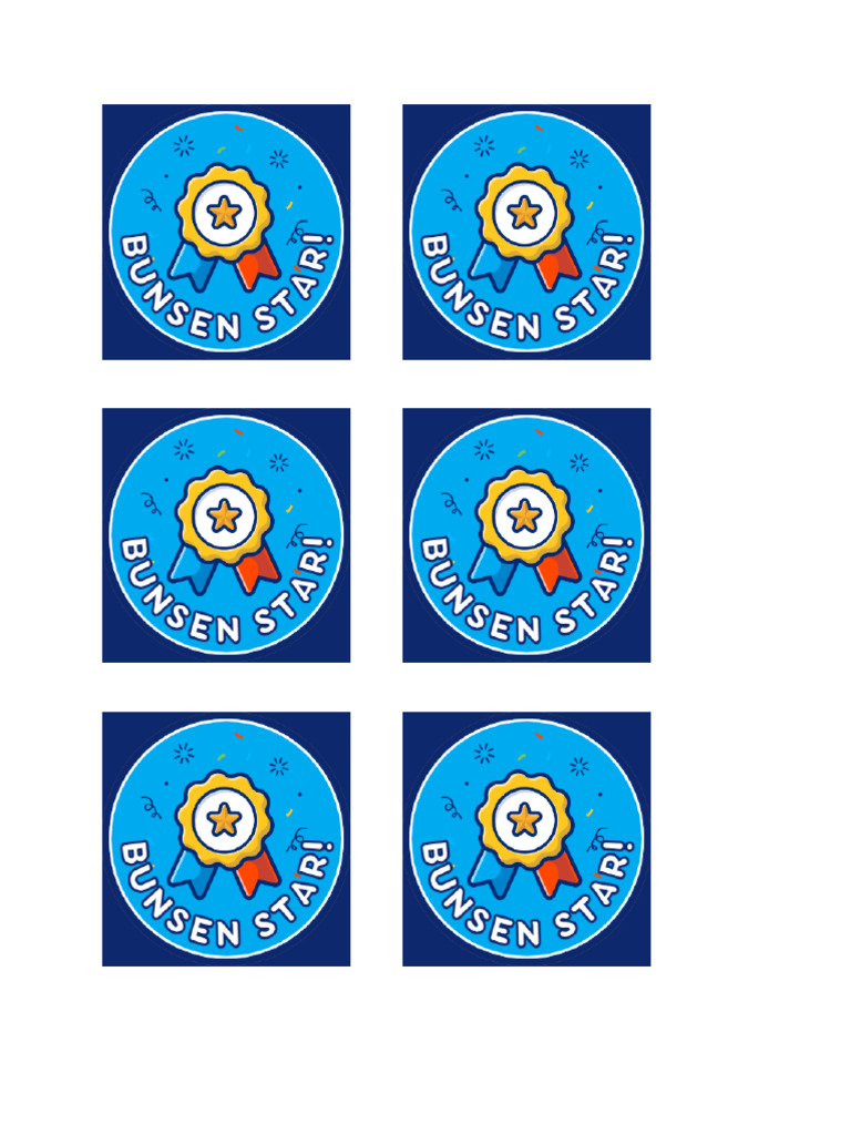 Bunsen Star Badges | PDF