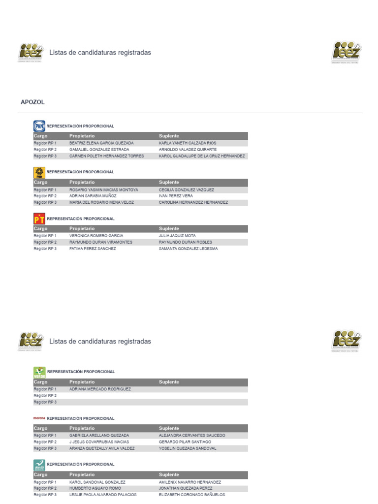 IEEZ - Sistema de Registro de Candidaturas 2024 RP | PDF