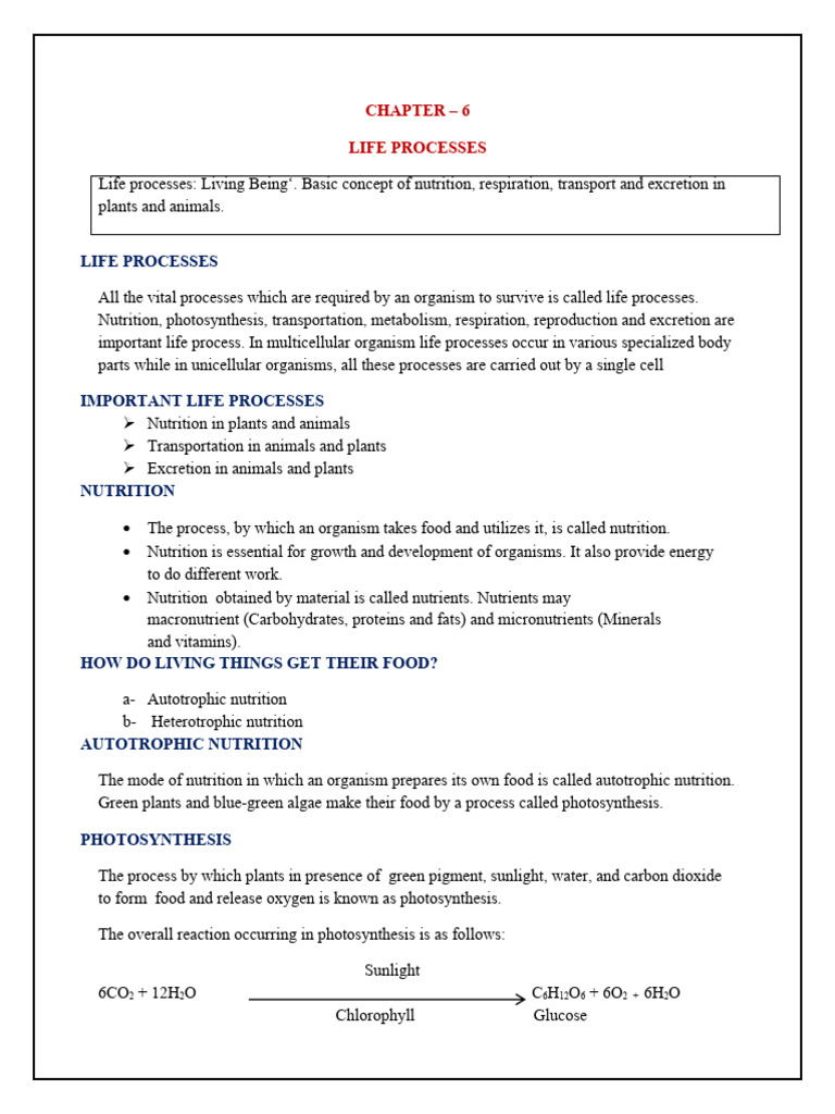 6 LIFE PROCESSES | PDF | Nutrition | Diet & Nutrition