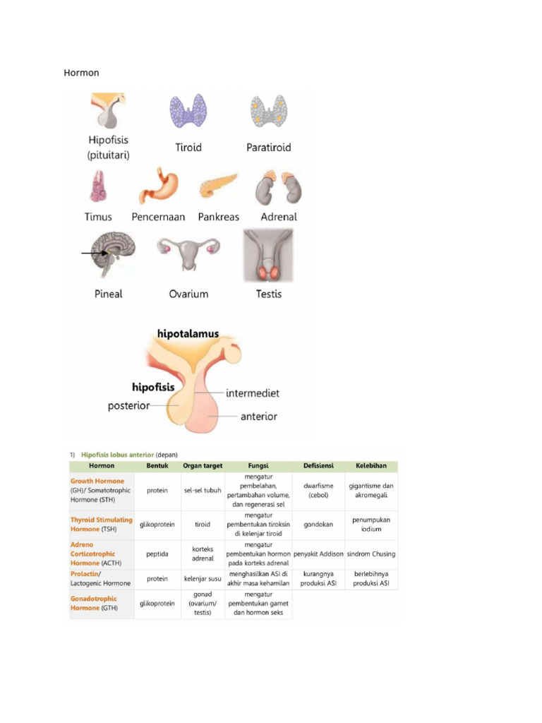 Gambar Bio Bab 3 | PDF