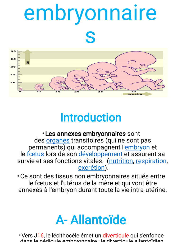 Annexes embryonnaires et développement fœtal | PDF | Placenta | Embryon
