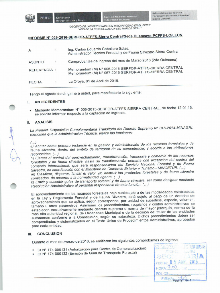 Informe #039-2016 | PDF