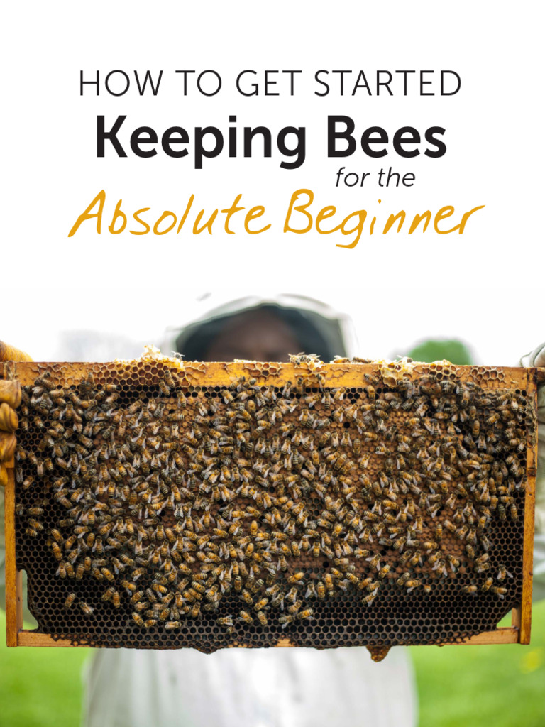 Beekiping Starter Guide Pdf Beekeeping Honey Bee