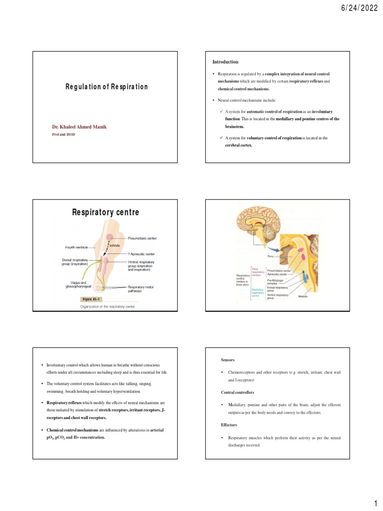 Neural Control of Respiration Explained | PDF | Breathing | Exhalation