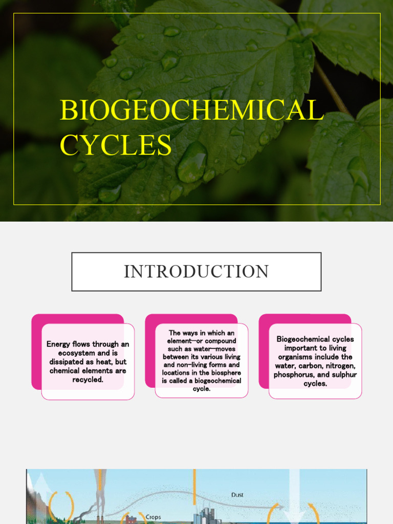 Bio Geo Chemicals | Download Free PDF | Water | Water Cycle