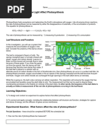 Floating Leaf Disk Photosynthesis Lab | PDF | Bicarbonate | Leaf