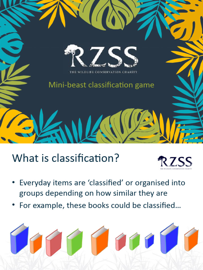Classification Game | PDF | Invertebrate | Arthropods