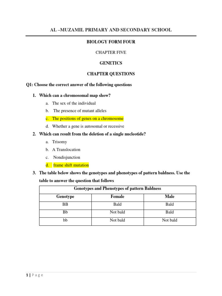 Chapter 5 Genetics | PDF | Dominance (Genetics) | Genotype