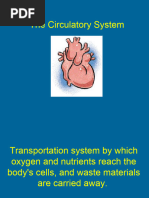 Human Circulatory System | PDF | Blood Vessel | Heart