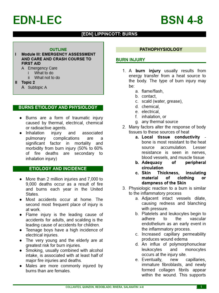 [Edn] Lippincot_ Burns.docx | PDF | Burn | Combustion
