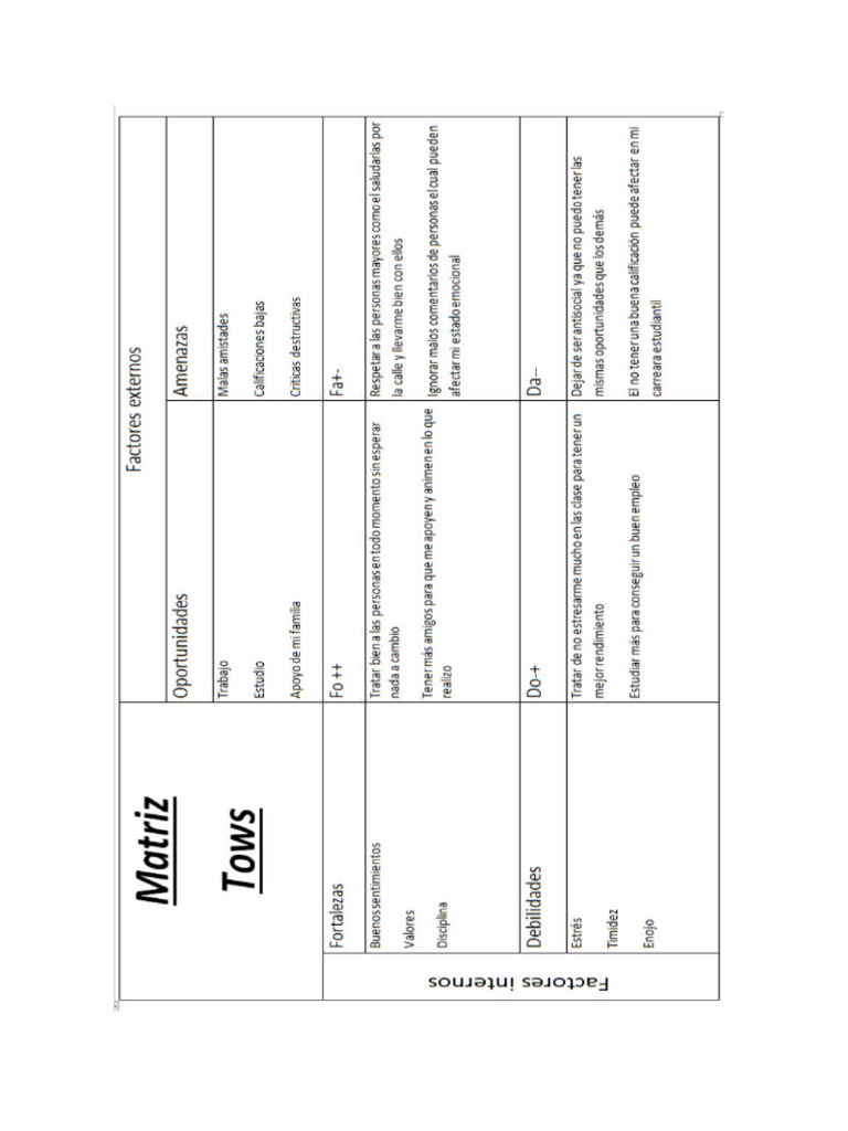 Matriz Tows 1 | PDF