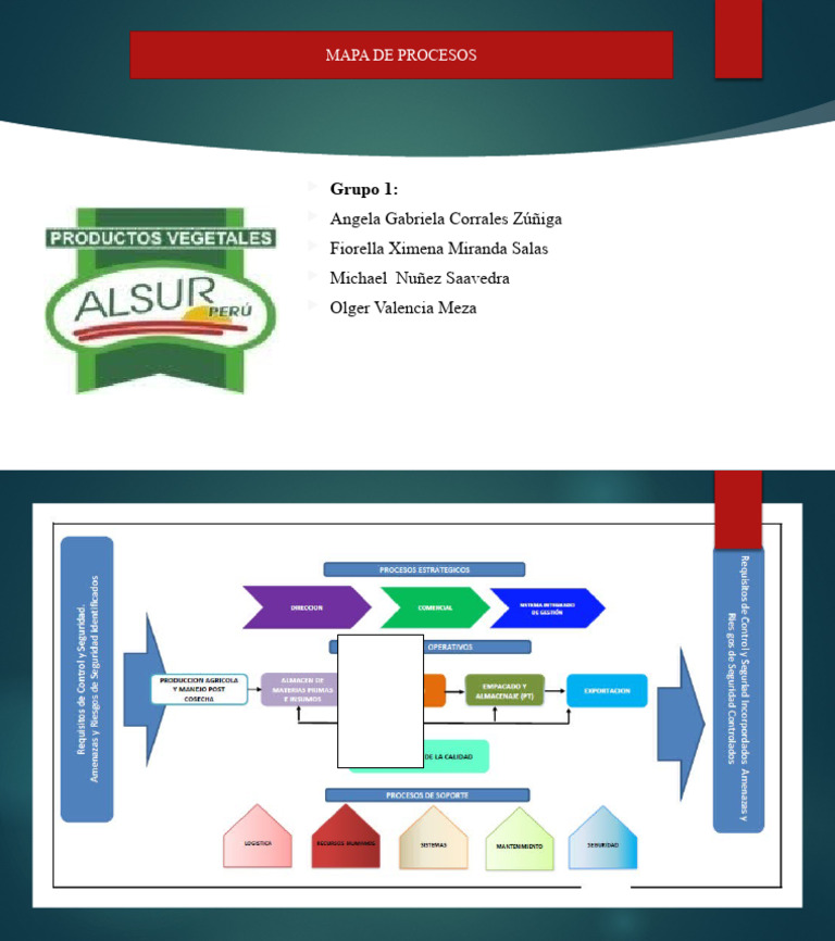 Mapa de Procesos - ALSUR | PDF