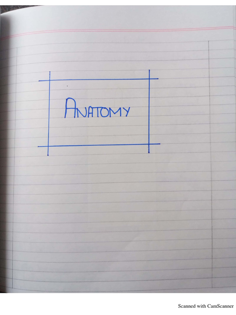 Anatomy Practical | PDF