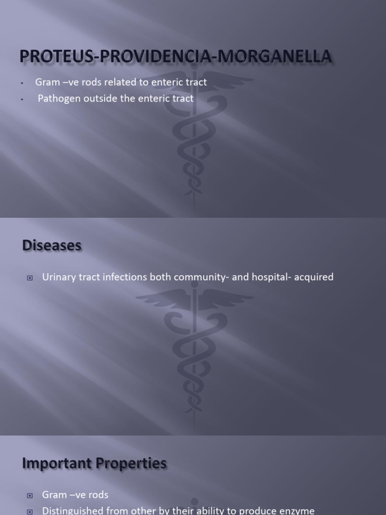 Proteus Providencia Morganella | PDF | Urinary Tract Infection ...