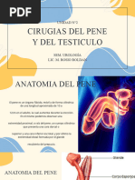 Procedimiento de Postioplastia | PDF