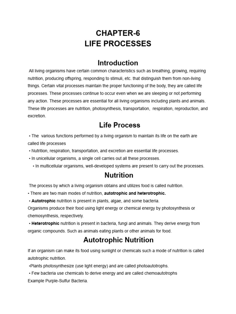 Life Processes | PDF | Nutrition | Diet & Nutrition