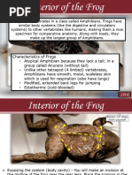 Frog Urinogenital System Overview | PDF | Kidney | Anatomy