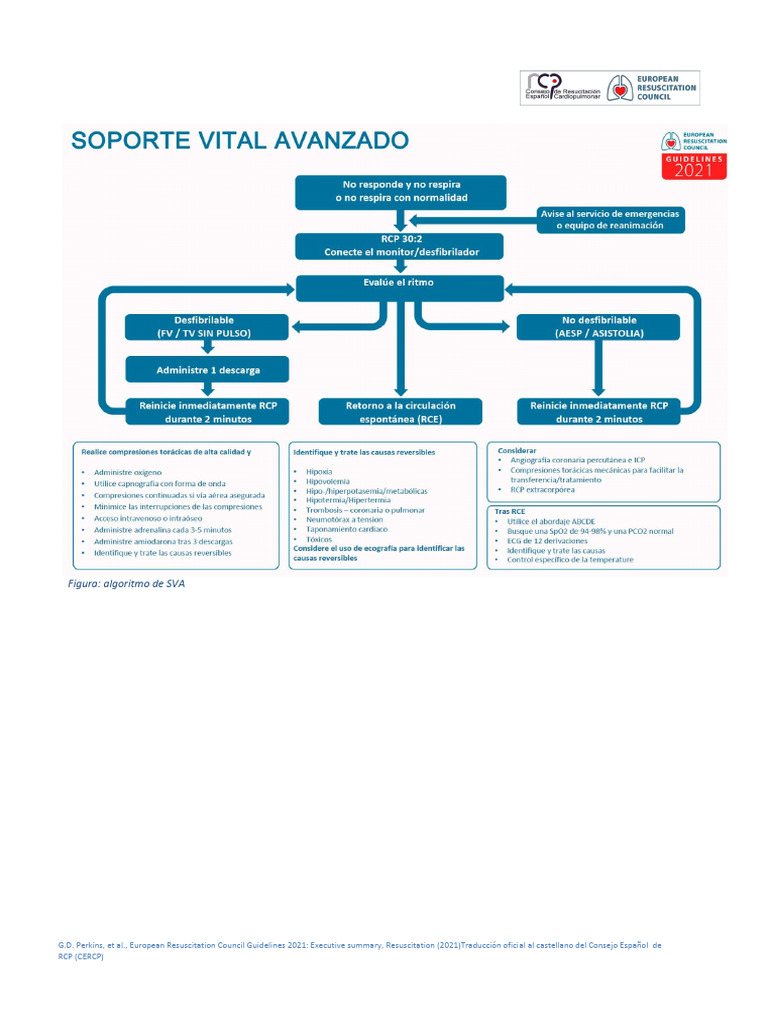 GUIAS ERC 2021 | PDF