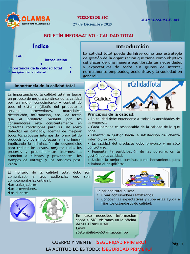 Boletín - Calidad Total | PDF | Calidad (comercial) | Economias