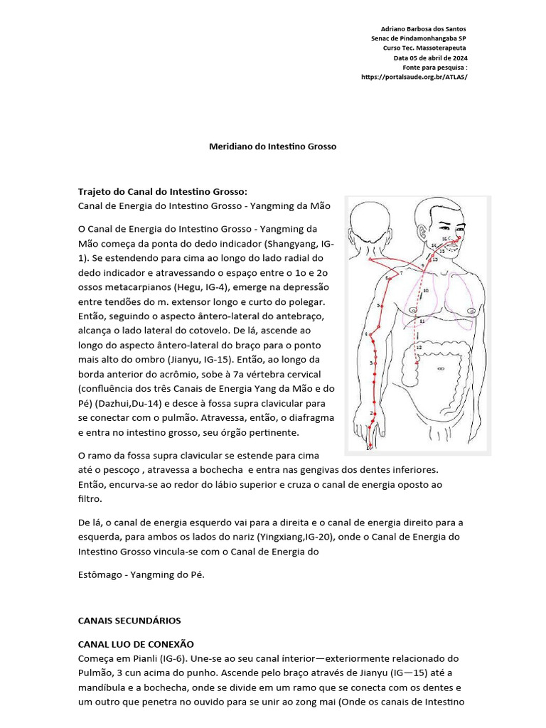 Meridiano do Intestino Grosso: Trajeto e Funções | PDF | Anatomia | Fígado