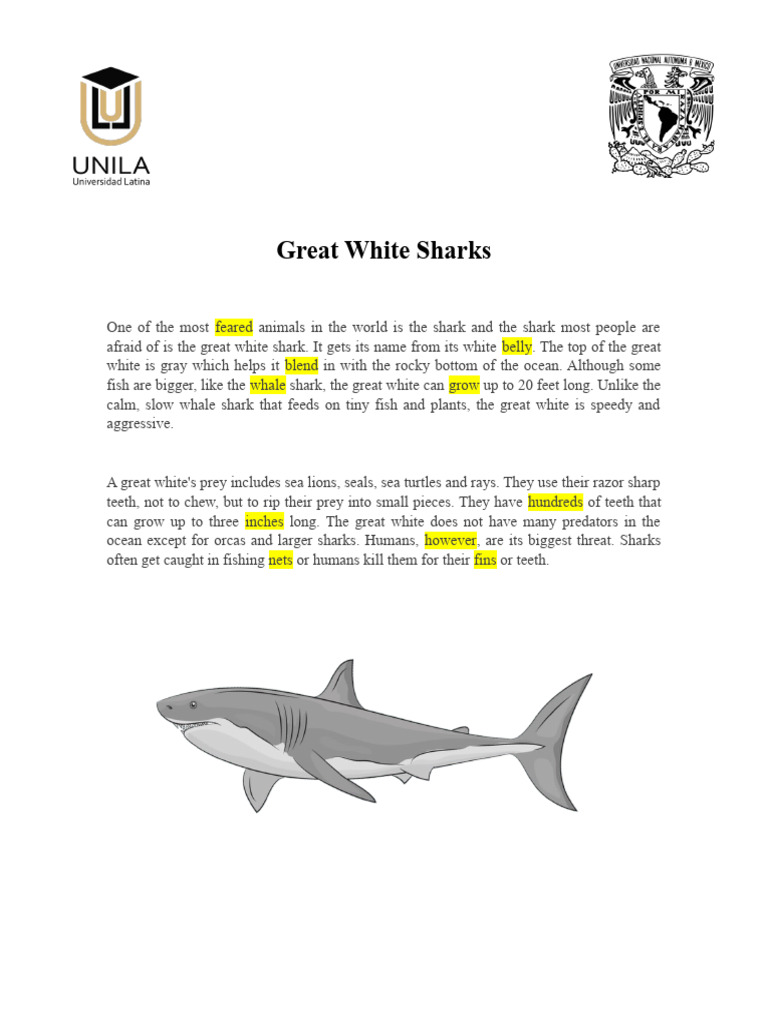 Great White Sharks - 1 | PDF