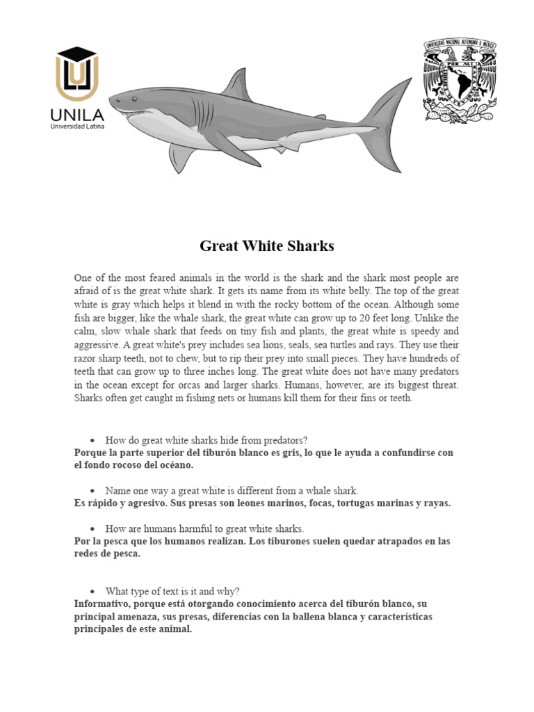 Great White Sharks | PDF | Social Science | Travel